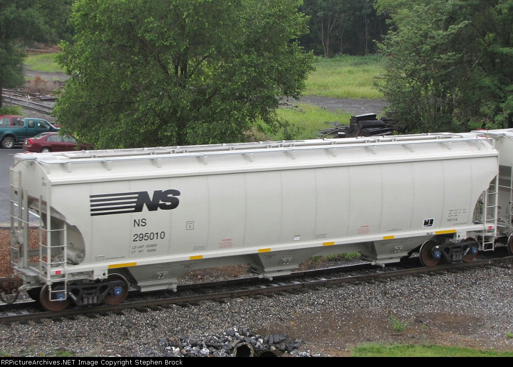 NS 295010